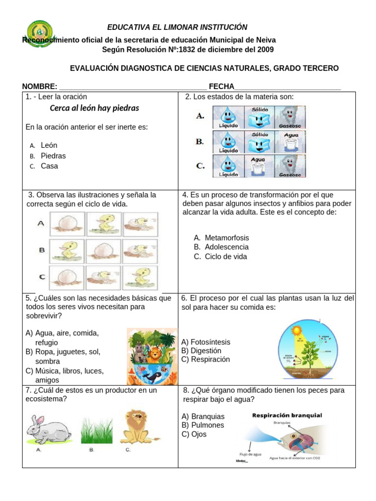 Evaluacion Diagnostica de Ciencias Naturales | PDF
