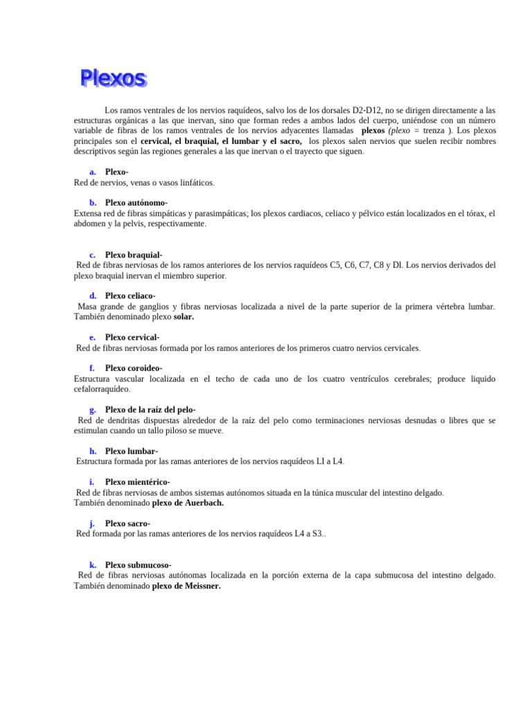 Anatomía de los Plexos Nerviosos Raquídeos | PDF | Sistema ...