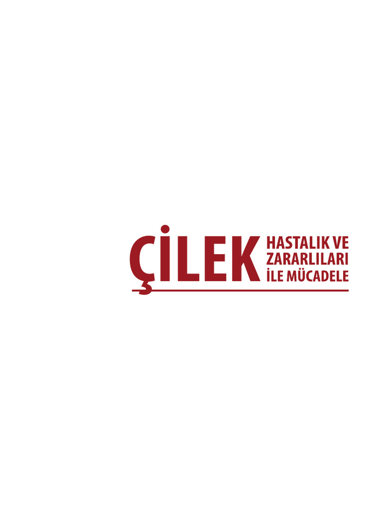 Cilek | PDF