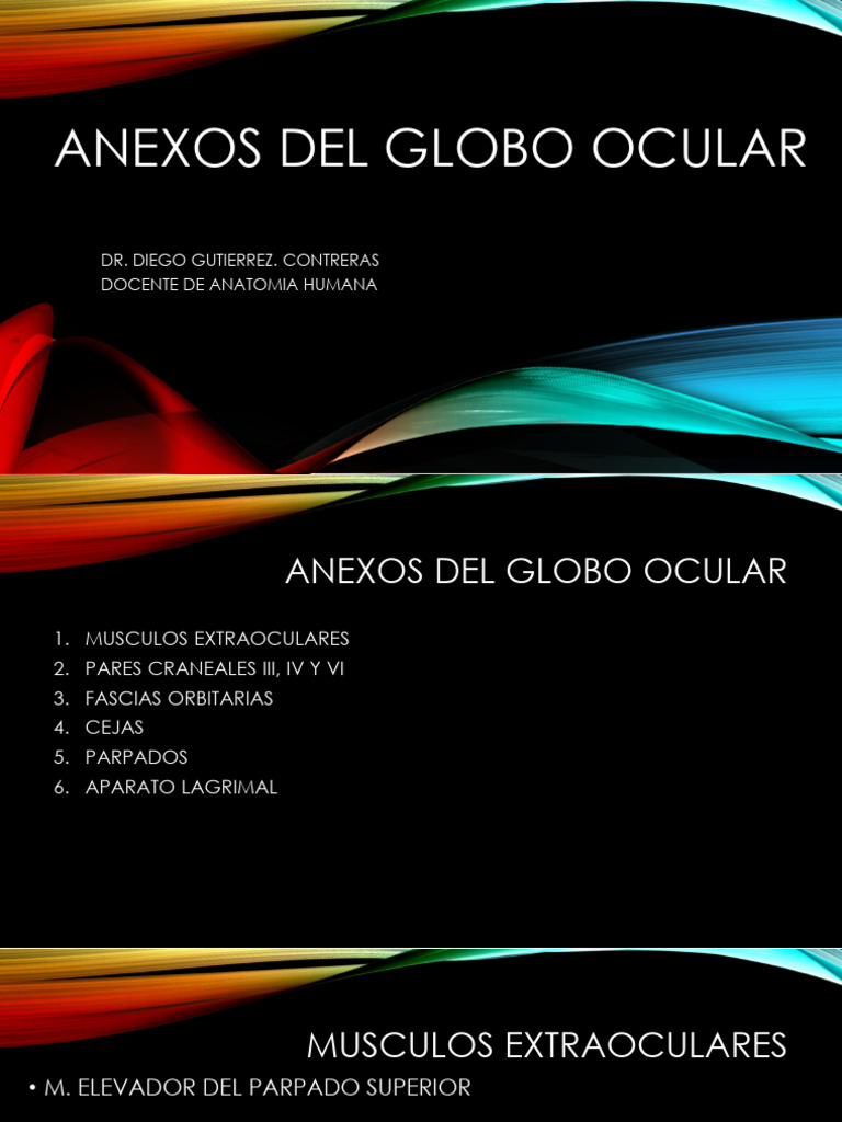 Anexos Del Globo Ocular | PDF | Ojo | Cara