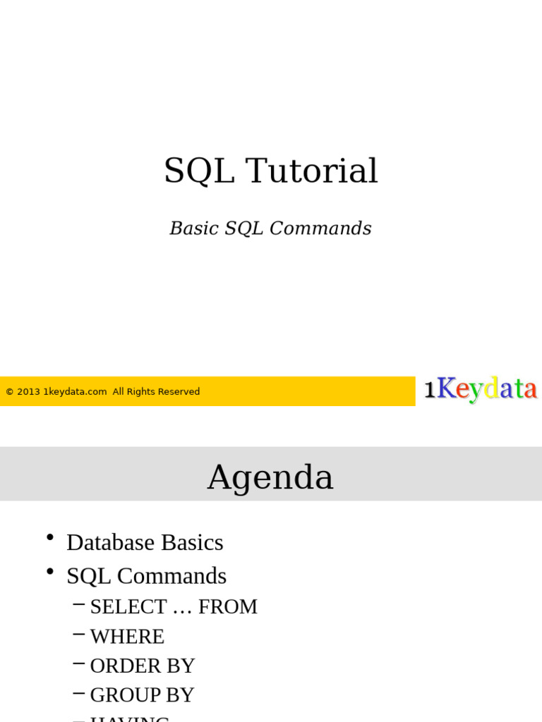 Basic SQL Commands Overview | PDF