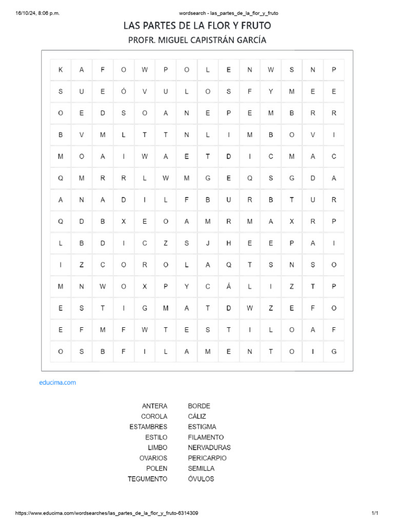 Las Partes de La Flor Sopa de Letras para Trabajo | PDF