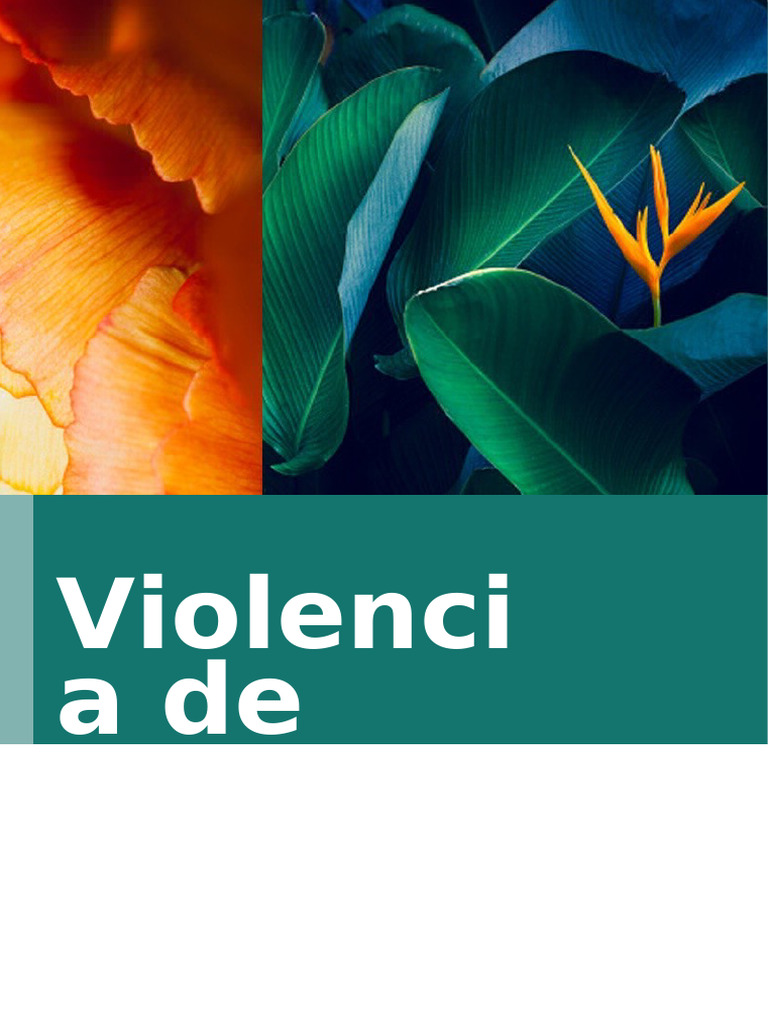Vio Lenci A de Genero | PDF | La violencia contra las mujeres | Violencia