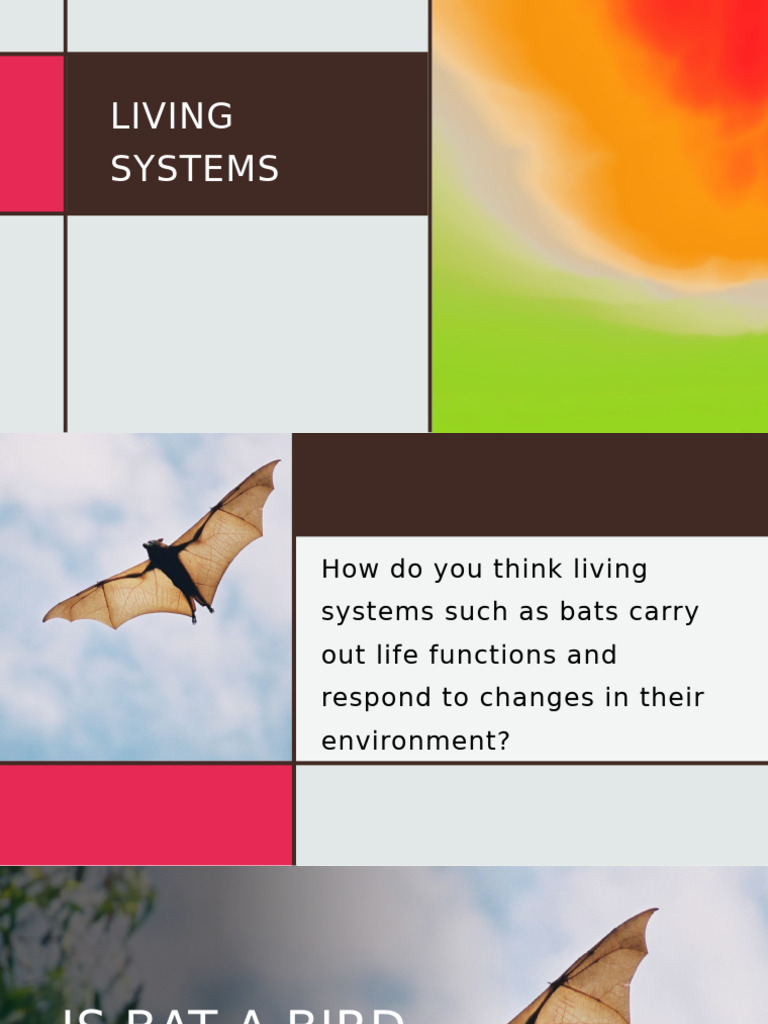 Grade 9 Unit 1 Lesson 1 Life in The Earth System | PDF | System | Proteins