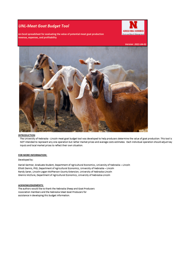 Budget Template Meat Goats 2021 GM 2 | PDF | Budget | Hay