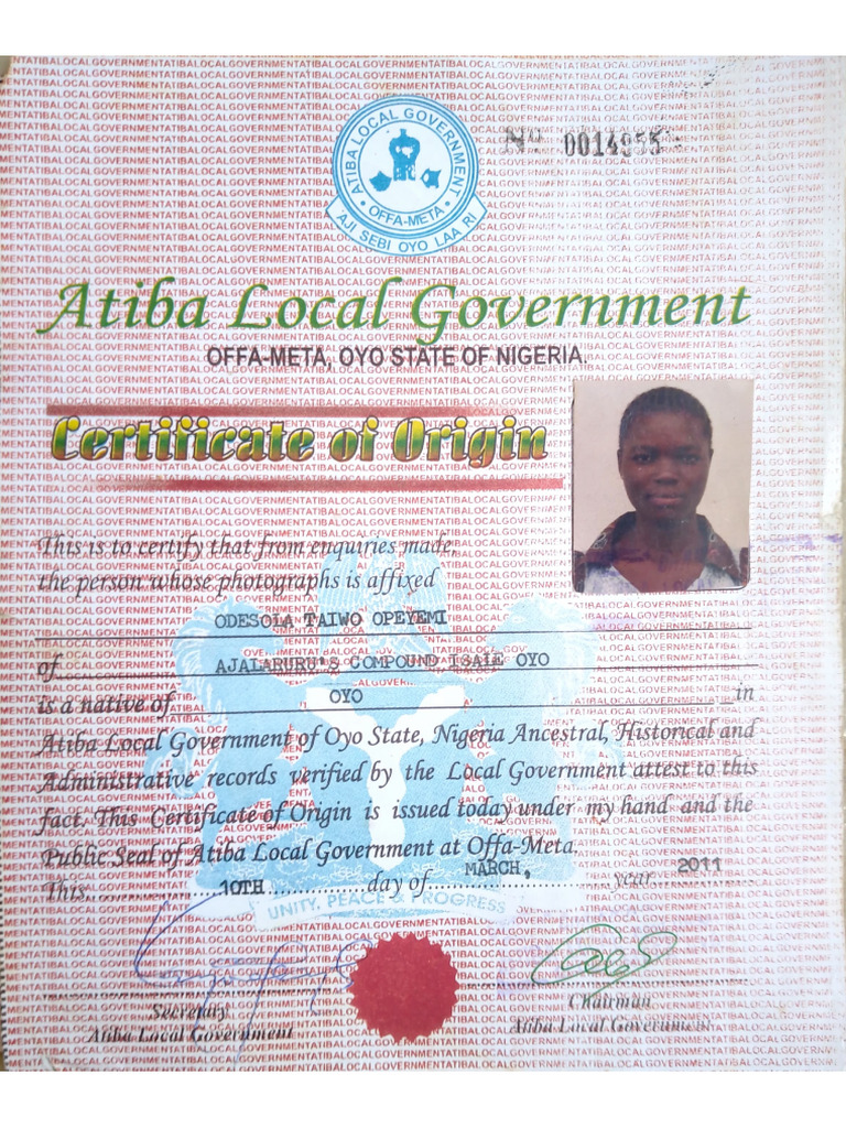 Local Government of Origin | PDF