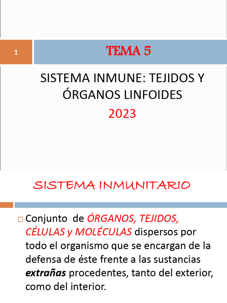 Inmunologia 5. Sistema Inmune - Tejidos y Organos Linfoides | PDF | Ganglio linfático | Bazo