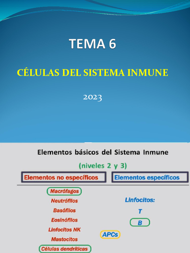 Inmunología 6. Células del Sistema Inmune | PDF | Linfocitos | Célula B