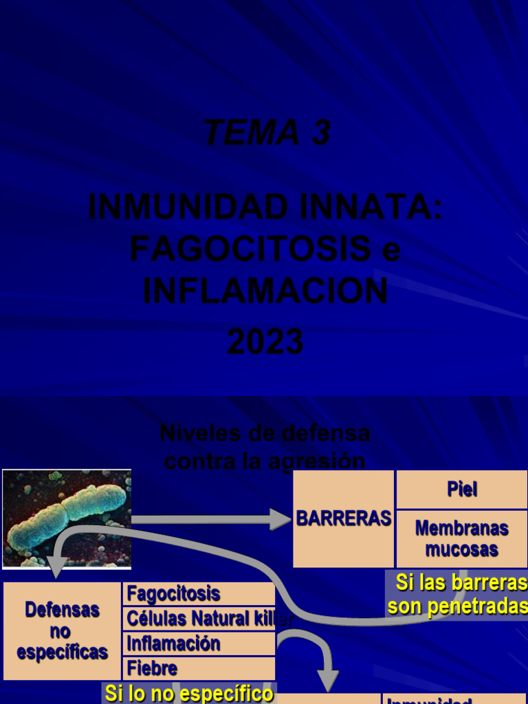 Inmunología 3. Inmunidad Innata. Ok - Fagocitosis e Inflamación | PDF | Inflamación | Sistema inmune