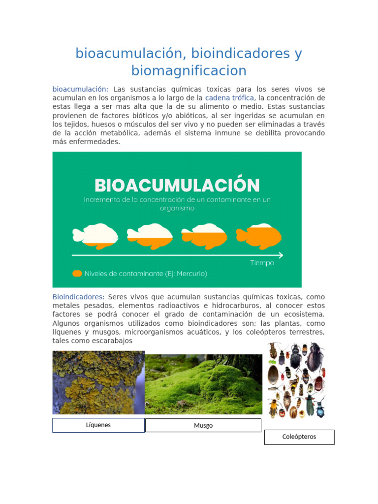 Bioacumulación | PDF