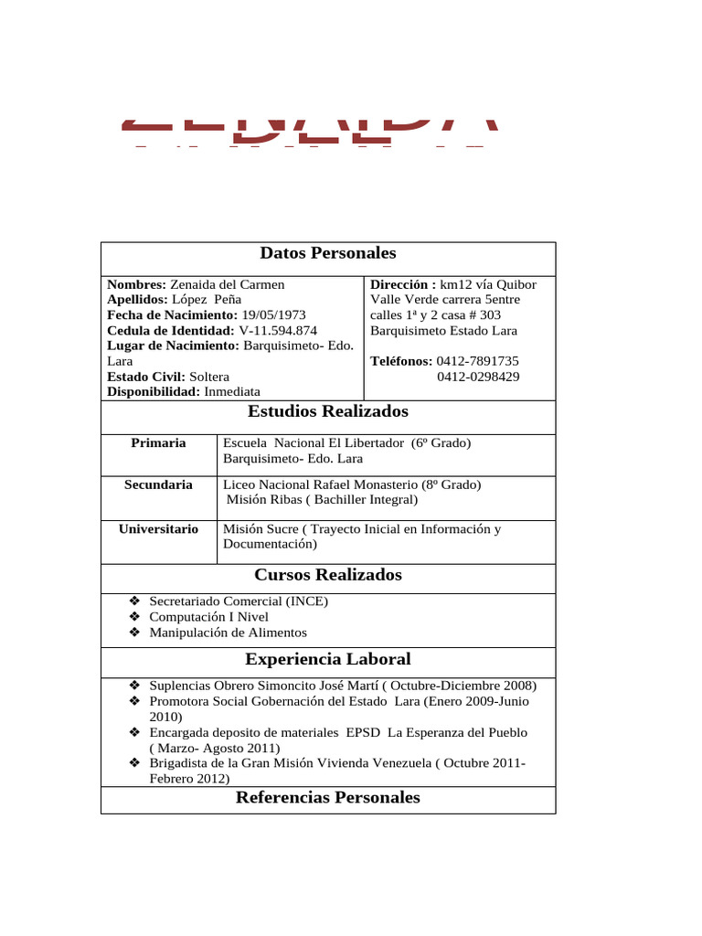Resumen Curricular Zenaida Lopez | PDF