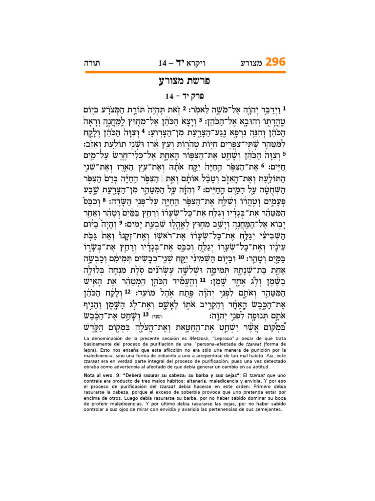 Met Zora | PDF | Menstruación