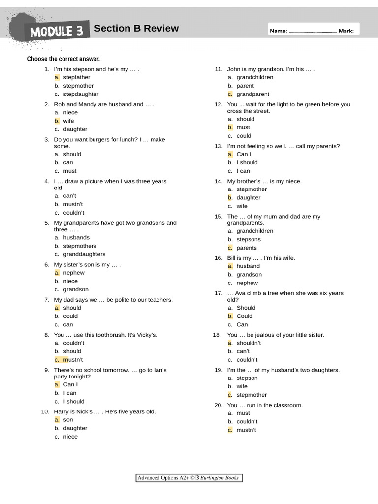 02AdvOptions_A2Plus_M3_SecB | PDF | Stepfamily | Cinderella