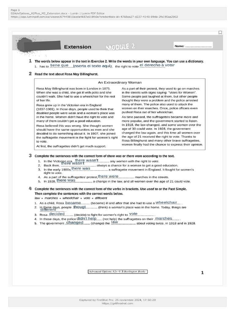 FireShot Capture 016 - 02AdvOptions - A2Plus - M2 - Extension - Docx - Lumin - Lumin PDF Editor ...