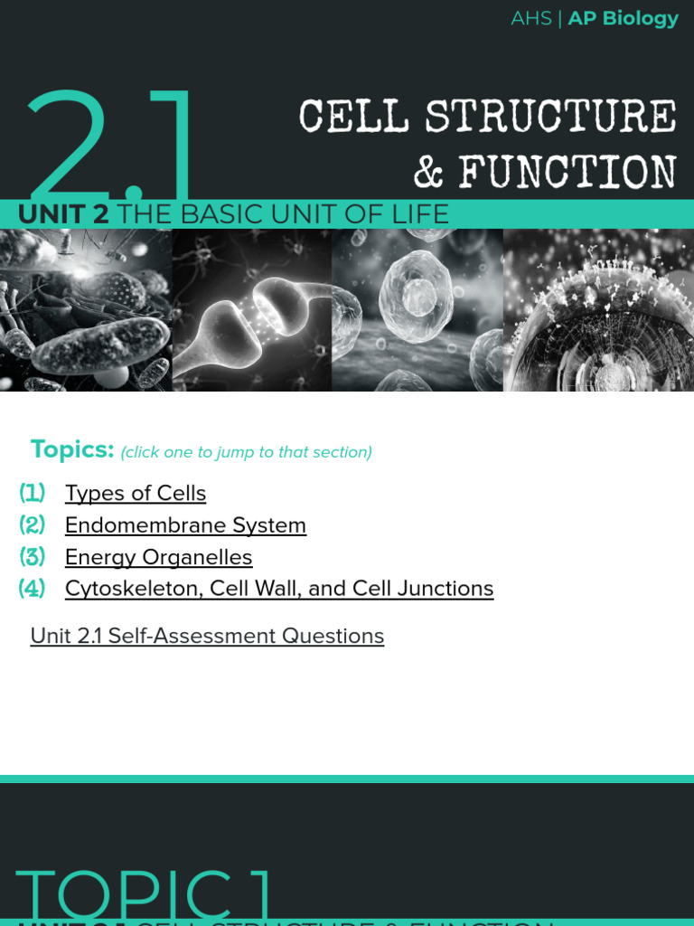Unit 2.1 Cell Structure & Function AHS | PDF | Endoplasmic Reticulum ...