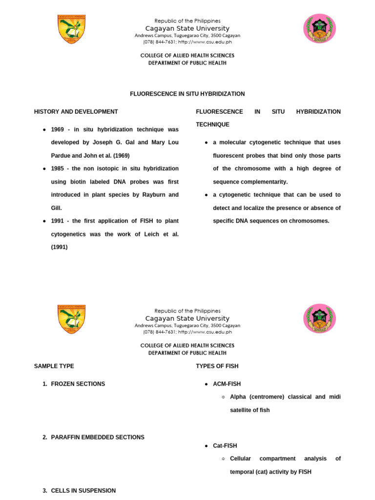 CYTOGENETICS FISH-CGH | PDF | Fluorescence In Situ Hybridization ...
