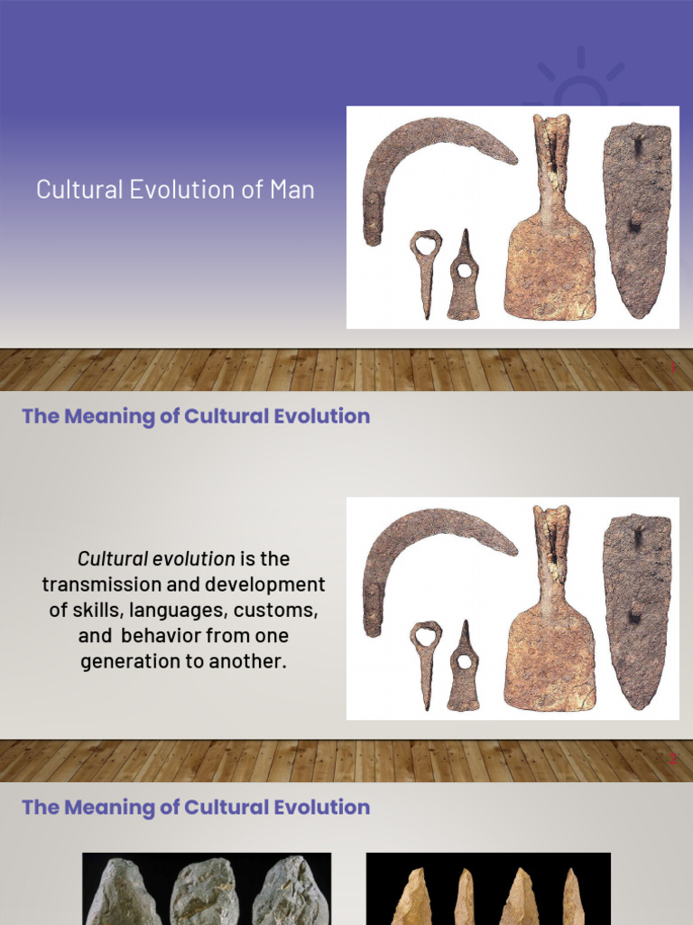 Evolution of Human Culture | PDF | Homo | Paleolithic