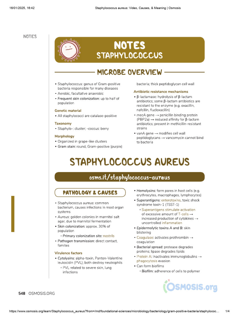 Staphylococcus Aureus Causes, & Meaning | PDF