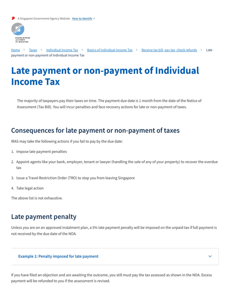 IRAS - Late Payment or Non-Payment of Individual Income Tax | PDF ...