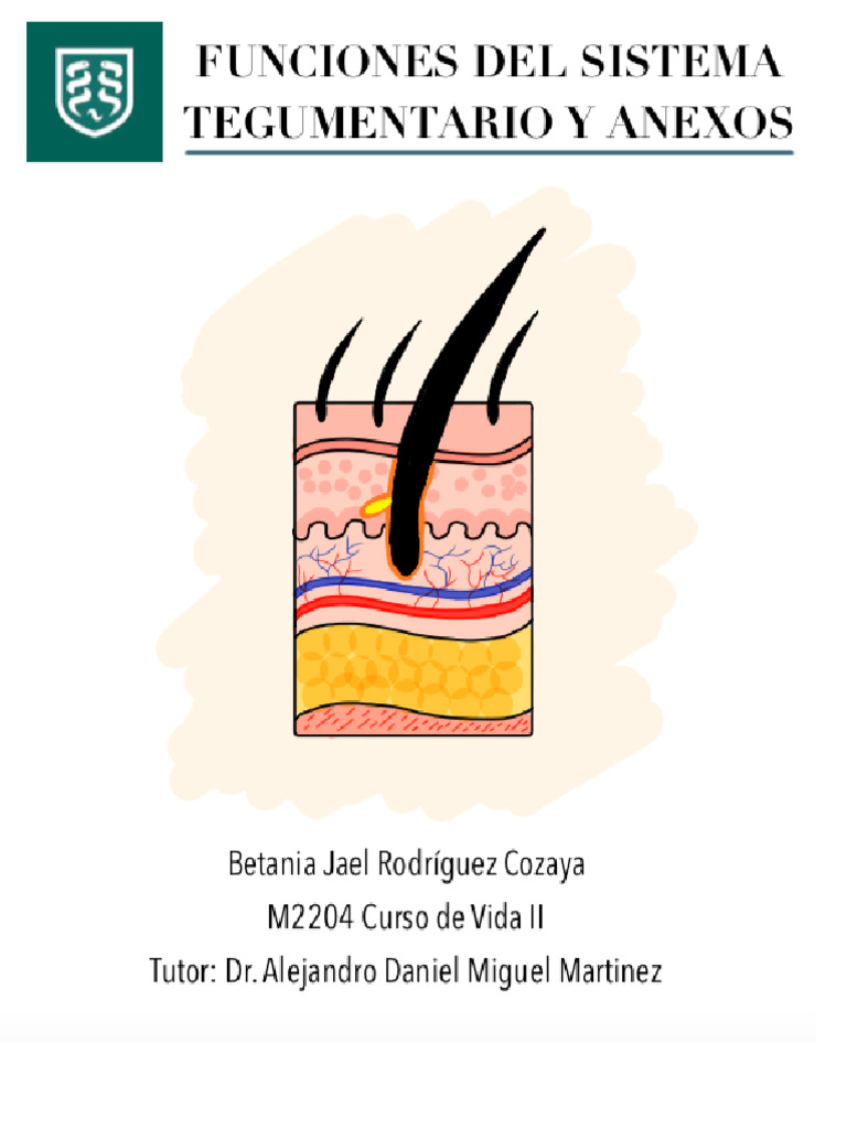 CVII - S14 - ACT18 - Rodriguez - Cozaya - Betania - Jael | PDF