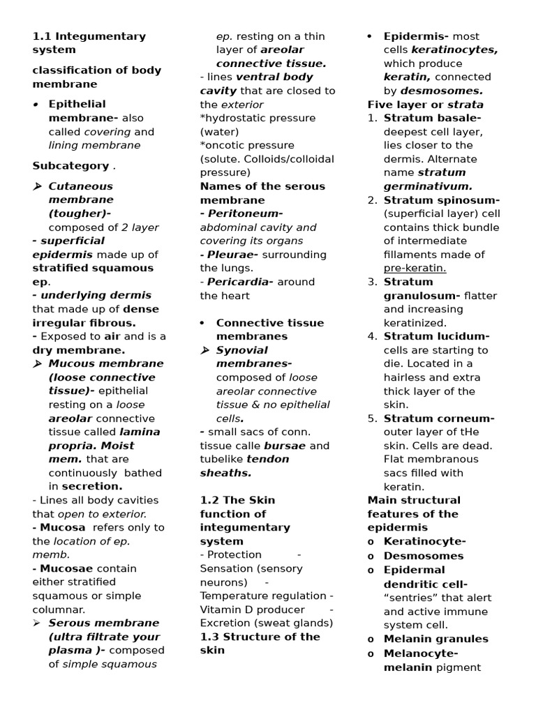 Anaphy Integumentary System (Skin) Note | PDF | Skin | Integumentary System