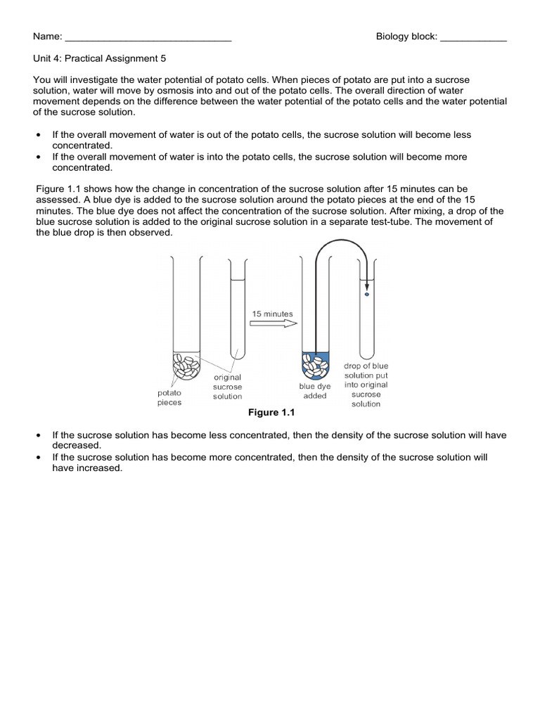 9700 Biology Practical Assignment 25 | PDF | Concentration | Density