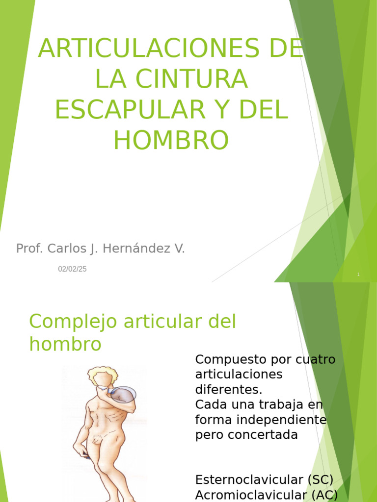 Fisiologa Articular de Hombro | PDF | Hombro | Articulaciones