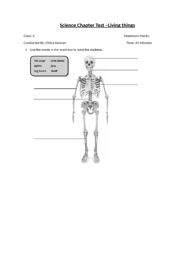 Chapter Test Class 4 Science Chapter 4 - Living Things | PDF