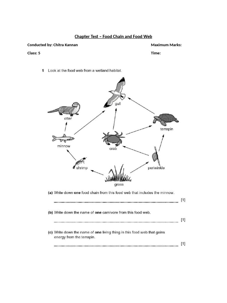 Chapter Test - Class 5 - Food Chain and Food Web | PDF