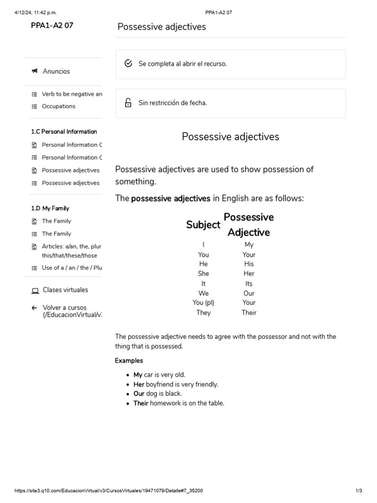 Possessive adjectives | PDF | Adjective | Grammatical Number