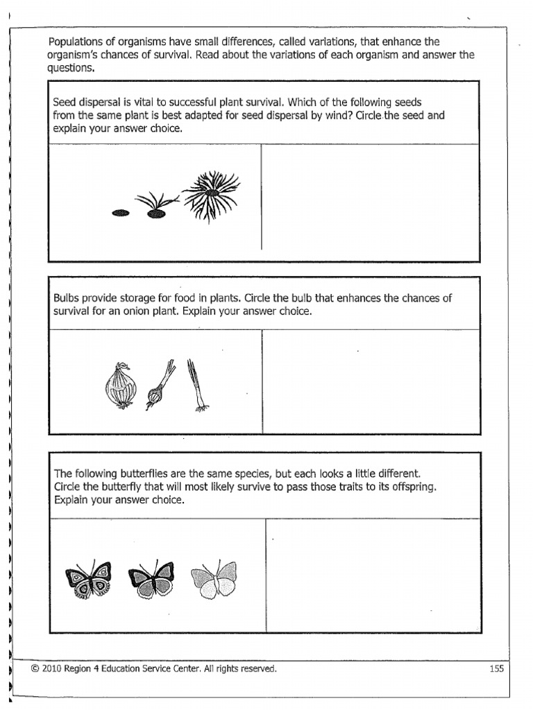 Santiago Guarcas - variations adaptations (1).pdf.Kami | PDF