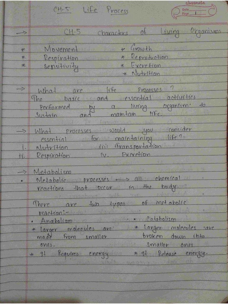 Life process notes | PDF
