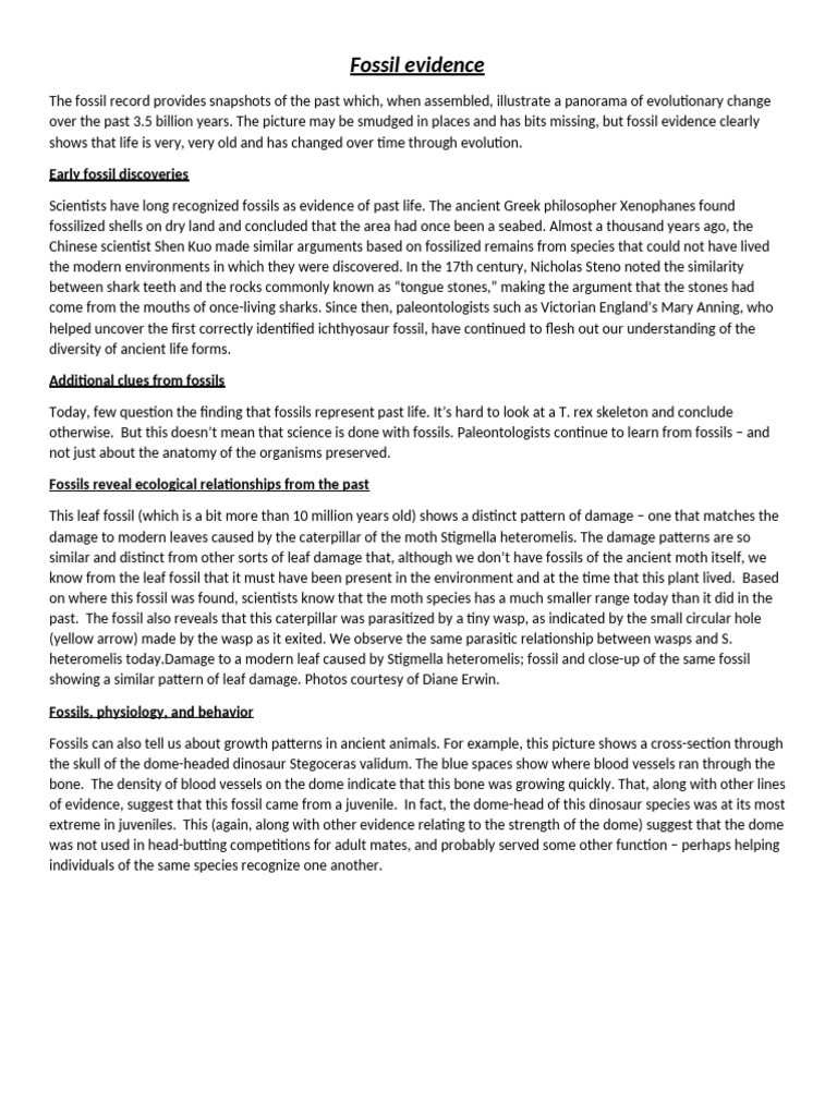 Fossil evidence | PDF | Fossil | Paleontology