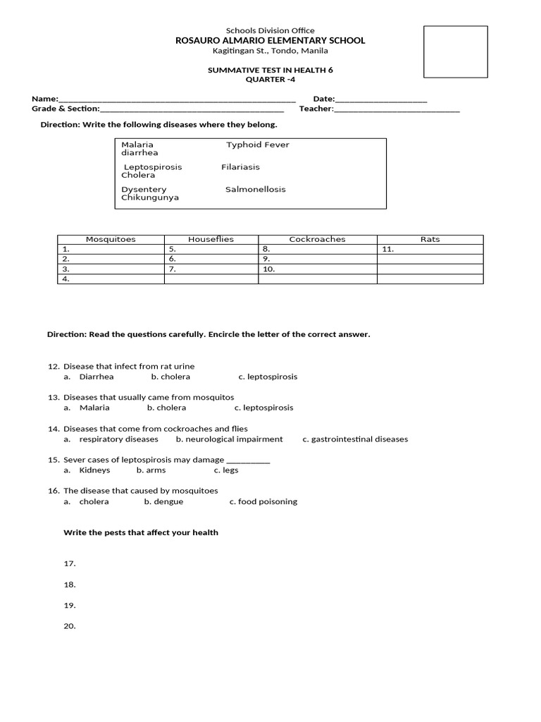 Health 6 Summative Test: Diseases & Pests | PDF