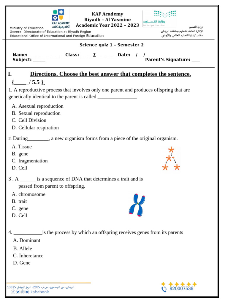 Grade 7 Science Quiz 1 | PDF | Sexual Reproduction | Gene