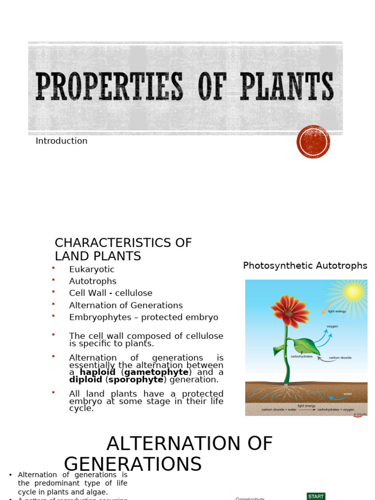 Characteristics of Land Plants Explained | PDF | Spore | Ploidy