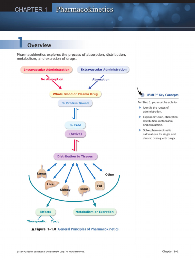1. pharmaco kinetics | PDF