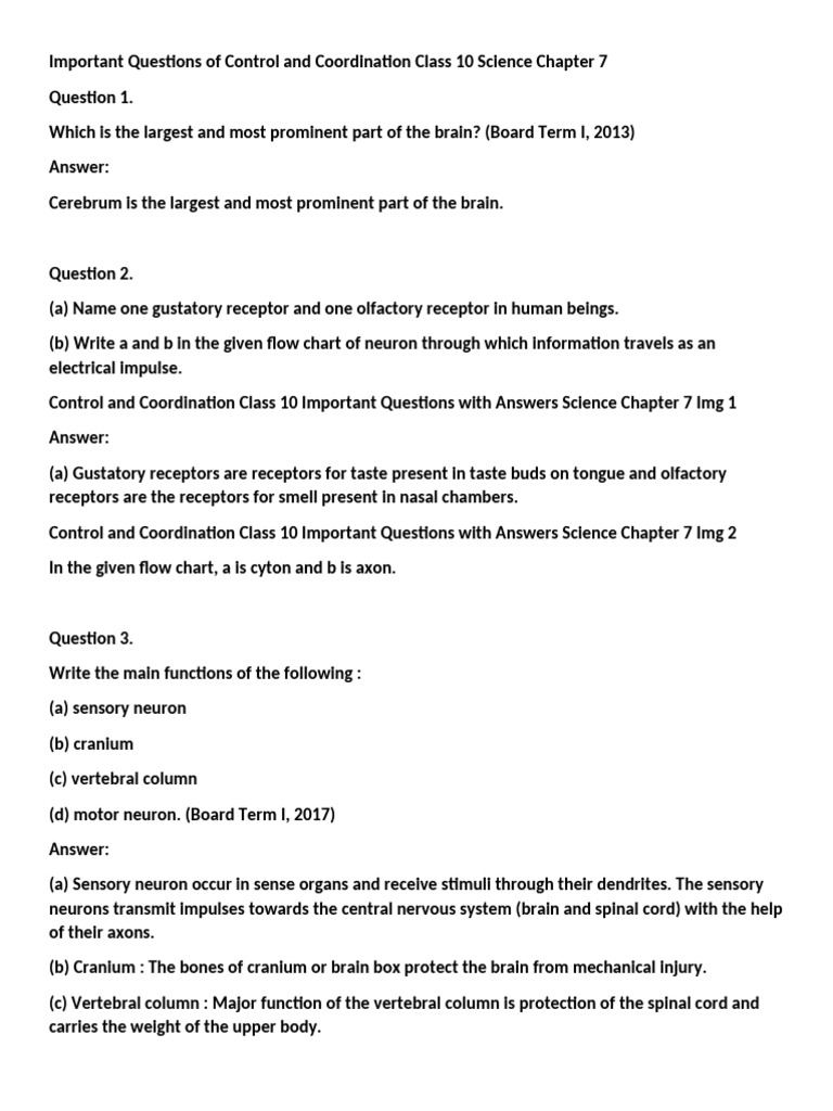 Control and Coordination Imp Qns 2024 | PDF | Plant Hormone | Neuron