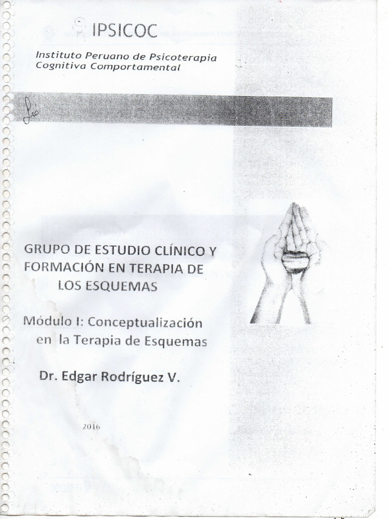 Libros Terapia de Esquema. | PDF