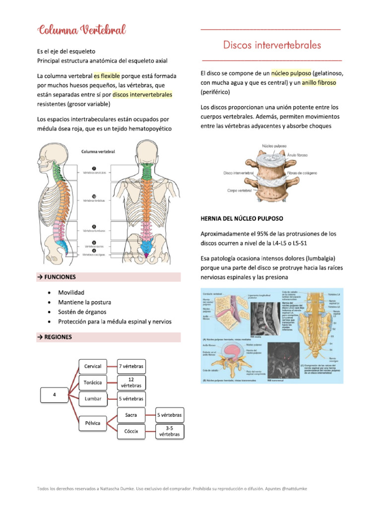 2.+Columna+y+Dorso | PDF