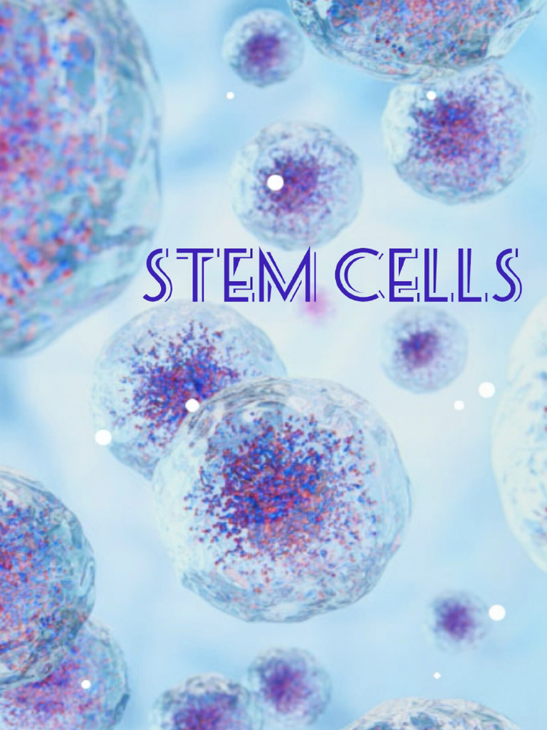 Bio Stem Cells | PDF