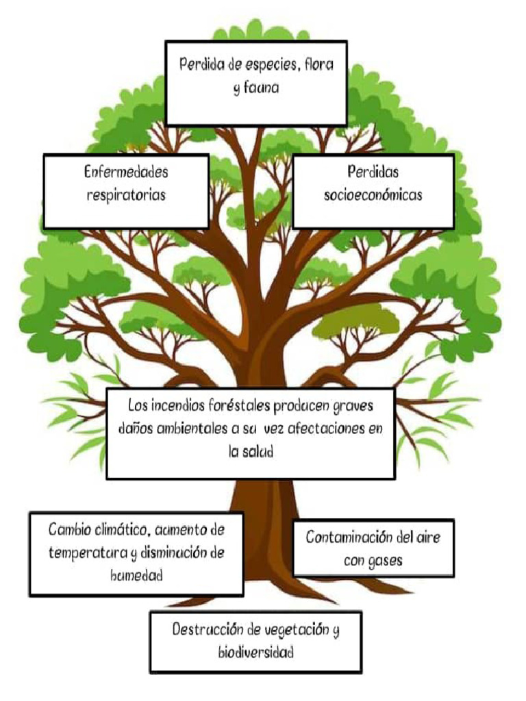 IMG-20250126-WA0057 | PDF