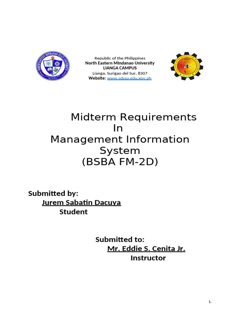 Midterm Requirements in Management Information System (BSBA FM-2D) | PDF