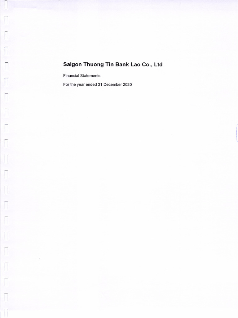 Financial Statement 2020 | PDF | Going Concern | Audit