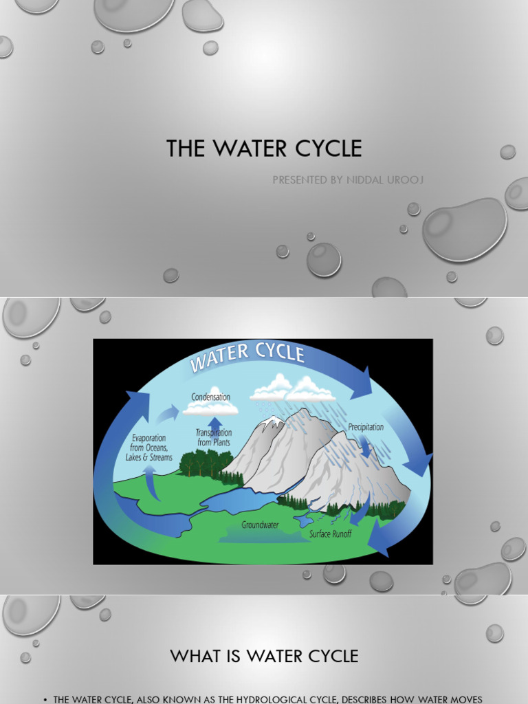 Water Cycle 1 | PDF