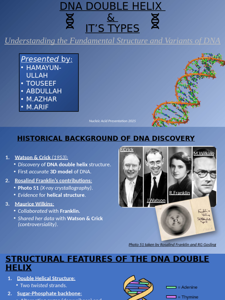 DNA Double Helix: Structure & Types | PDF | Dna | Nucleic Acid Double Helix