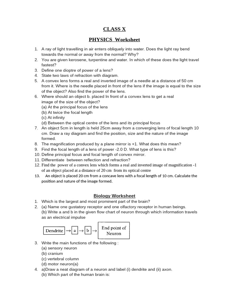 Bio, Phy Worksheet CL X | PDF | Neuron | Brain