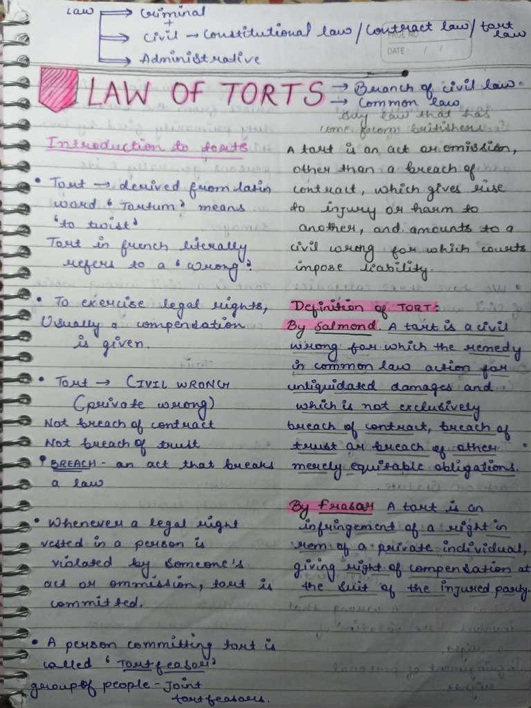Tort | PDF