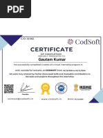 CodSoft Internship Program | PDF | Linked In | Software Engineering