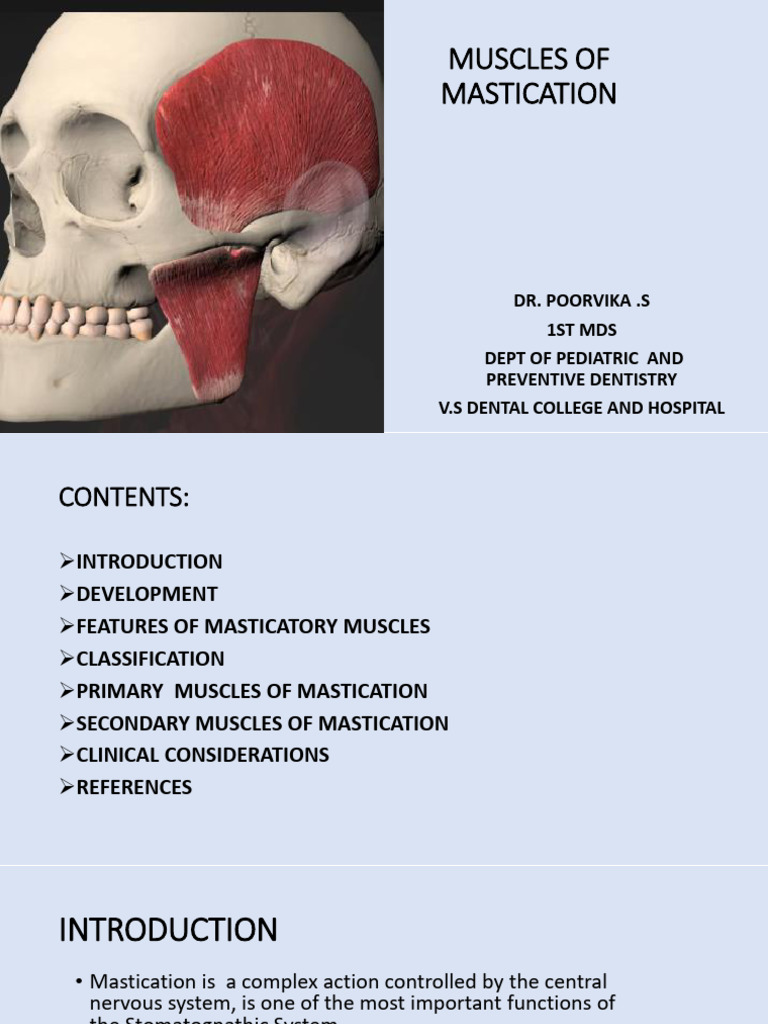 Muscles of Mastication Final | PDF | Human Head And Neck | Soft Tissue